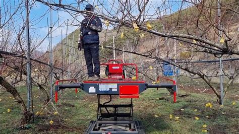 2월20일 복숭아 고소작업대고소작업차복숭아전정 Youtube