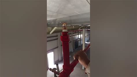 Preshar Check Todays Lik Youtube