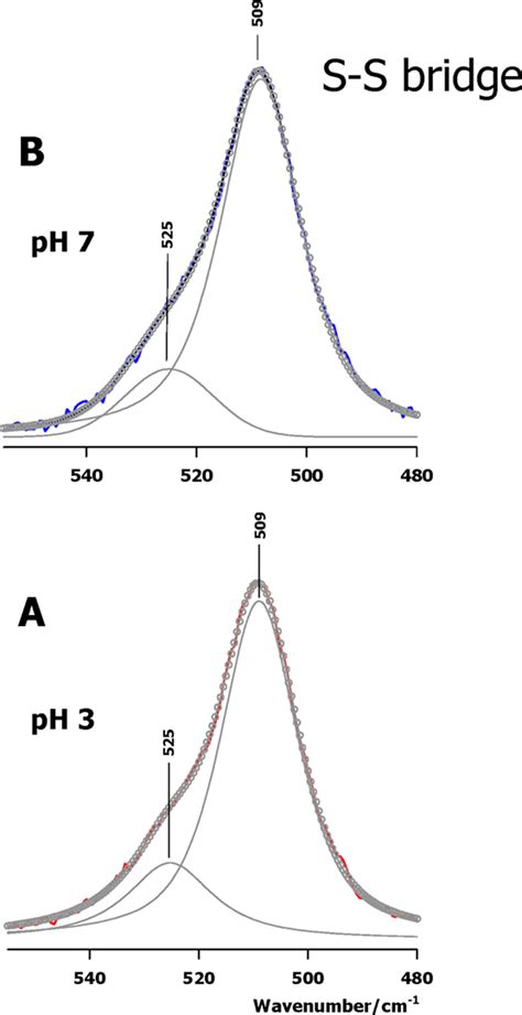 Band Decomposition In The Disulfide Bond Stretch Region Of Raman