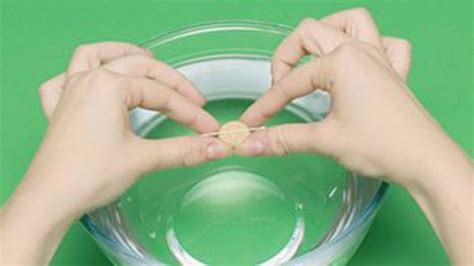 How To Make A Magnetic Compass Guide For Ks3 Physics Students Bbc