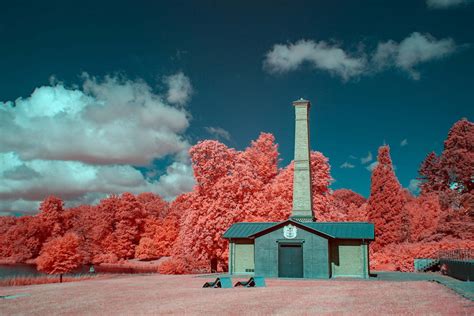 Infrared Effect Filter Comparison Irrecams