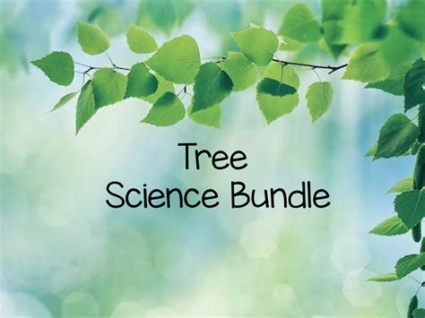 Trees Science Bundle Teaching Resources