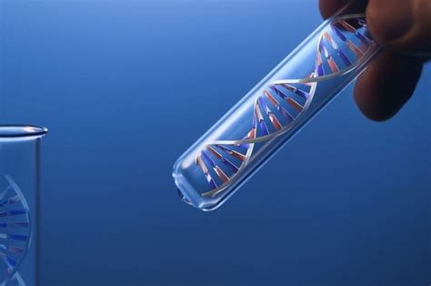 Where To Implement Genomic Screening In Endemic Areas