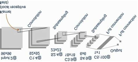 Convolutional Network For Generic Object Recognition Download Scientific Diagram