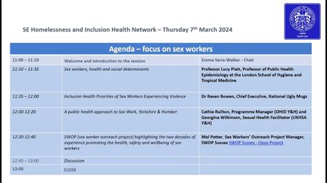Webinar 36 Sex Workers Se Homelessness And Inclusion Health Network