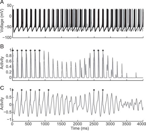 Figure 7 From Coupled Noisy Spiking Neurons As Velocity Controlled Oscillators In A Model Of