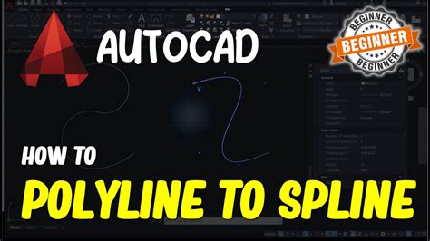 AutoCAD How To Polyline To Spline YouTube