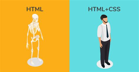 Css — P4 Pseudo Class Selectors And Selector Precedence By Dino Cajic Dev Genius