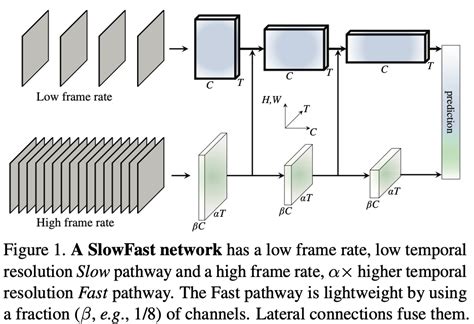 Species Detection Zamba