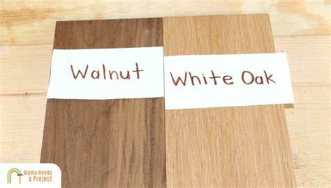 Oak Vs Walnut Which Should You Use Ultimate Guide