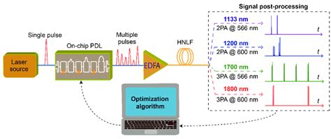 Schematic Representation Showing The Use Of Reconfigurable Temporal Download Scientific