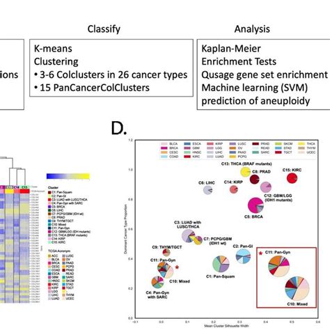 pancan clustering of 9029 tcga solid tumors all together by collagen