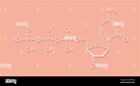 Deoxycytidine Triphosphate Dctp Nucleotide Molecule Dna Building Block Skeletal Formula