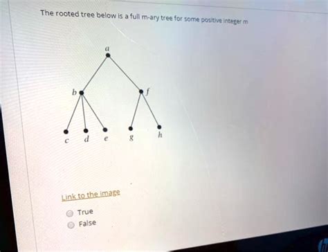Solved The Rooted Tree Below Is A Full M Ary Tree For Some Positive Integer M