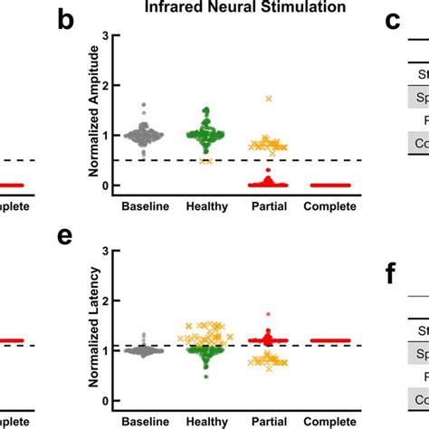 Infrared Neural Stimulation Is More Sensitive To Partial Nerve Download Scientific Diagram
