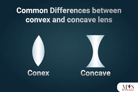 Write Down The Difference Between Convex Lens And Zone Plate At Indiana Houlding Blog
