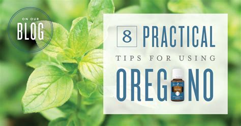 Oregano Oil Uses And Benefits Young Living Essential Oils