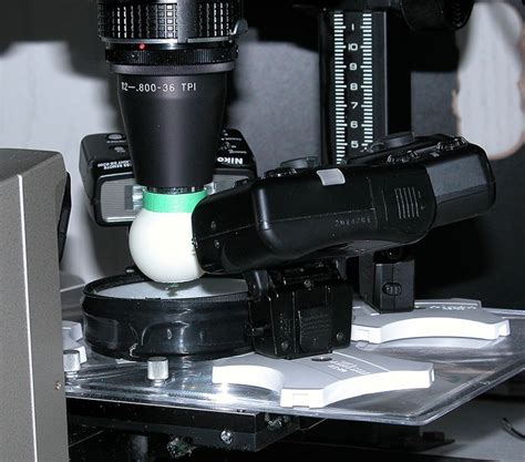 Ping Pong Ball Diffusers By Nikonuser Ping Pong Balls Diffuser Ping