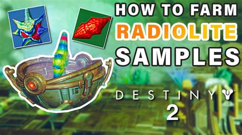 Cómo Se Usan Los Raidolitos Para Eliminar Plagas Eficazmente