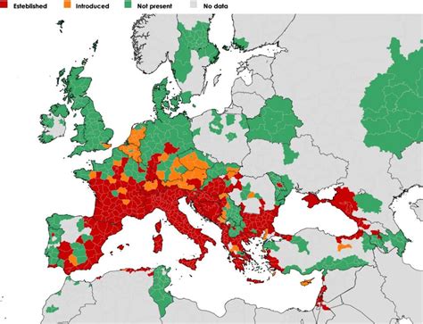 Mosquito Borne Diseases Are Spreading In Europe Due To The Climate