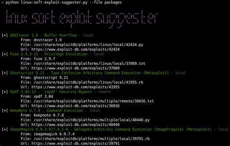 Linux Soft Exploit Suggester Cuando Solo Entrar No Es Suficiente