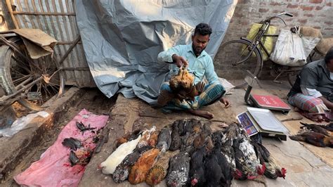 দেশী মুরগী ৪৮০ টাকা প্রতি কেজি Youtube