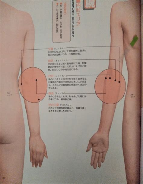 代購代標第一品牌樂淘letaoツボ押し健康法 セルフ マッサージ 新感覚のツボマッサージ ツボ 指圧 健康 東洋医学 体操 美容 女性