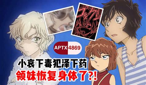 柯南小哀下毒犯泽下药研发了APTX解药让领域外的妹妹恢复身体 小哀 玛丽 世良 赤井一家 名侦探柯南 犯人犯泽先生 枫和日丽