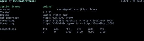 Ngrok Create Share A To Your Localhost Server