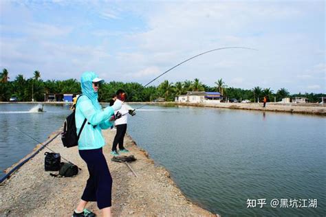 常用的钓鱼方法有哪些？哪种钓法最好用？几种主流常用钓法介绍 知乎