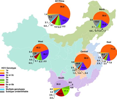 The Prevalence Of Hepatitis C The Distribution Of Hepatitis C Virus
