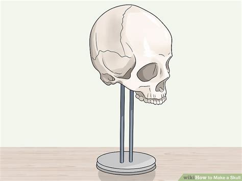 3 Simple Ways To Make A Skull WikiHow