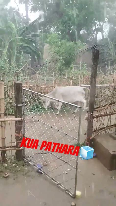 Kua Pathara Youtube