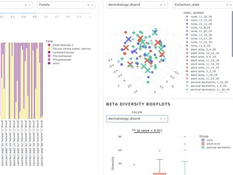 Script Dashboard With A Detailed Data Analysis Report And Beautiful
