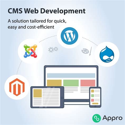 CMS Web Development