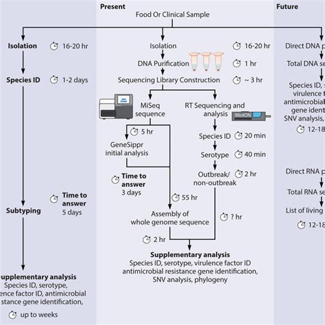 First Second And Third Generation Sequencing Platforms Are Download Scientific Diagram