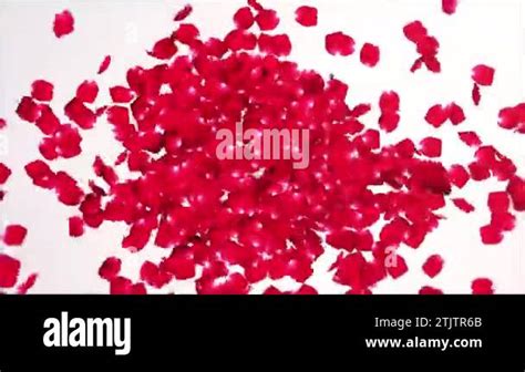 Motion Graphic 4k Flying Into Digital Technologic Tunnel3d Big Data