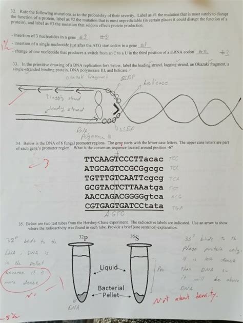 Solved 32 Rate The Following Mutations As To The
