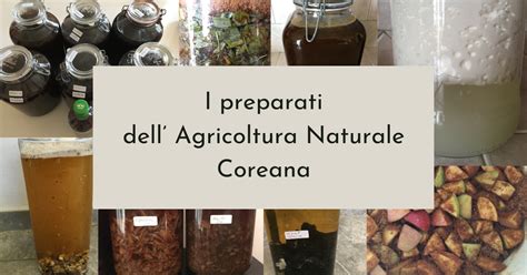 I Preparati Dellagricoltura Naturale Coreana Di Master Han Kyu Cho