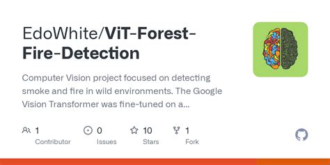 Github Edowhite Vit Forest Fire Detection Computer Vision Project