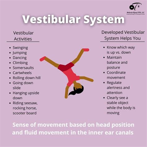 Vestibular System Sensory Processing Pediatric Occupational Therapy