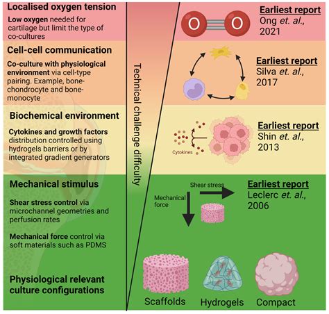 Organ On Chip Models For Mimicking Joint Microenvironment Encyclopedia Mdpi