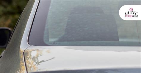 Bubbles In Tint How To Fix Window Tint Wrinkles Olive Coco Mag Windowtint