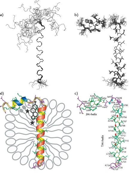 Appjmtm Spatial Structure A Set Of 20 Nmr Derived Structures Of