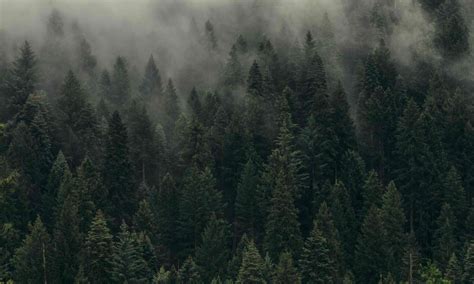 Automated Ftp Operations From Powershell 7 Using Winscp Net Assembly