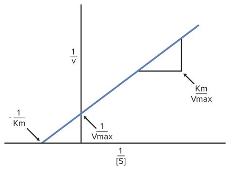 Enzyme Kinetics Concise Medical Knowledge