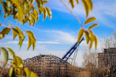 疫净花开摘下口罩的那一天我在济南方特东方神画等你 界面新闻