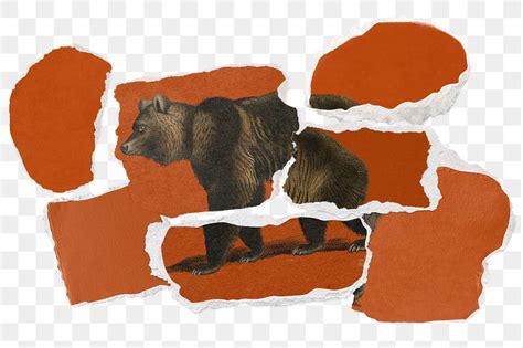 Bear Sticker Png Images Free Photos Png Stickers Wallpapers