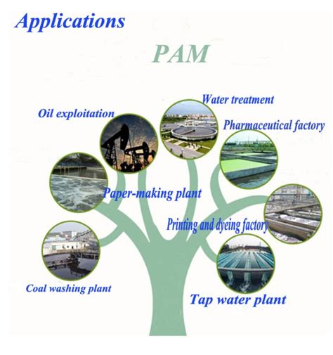 Anionic Polyacrylamide