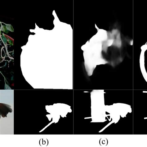 Examples Of Predicted Saliency Maps With Poor Performance In Complex